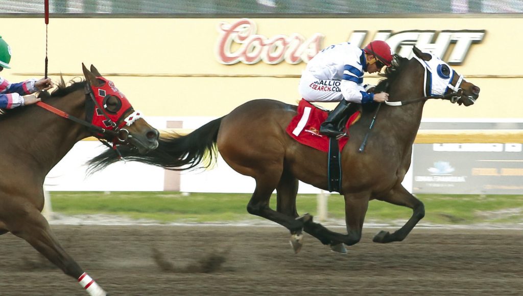 Stinebaugh wins 1,000th quarter horse race - Sequoyah County Times