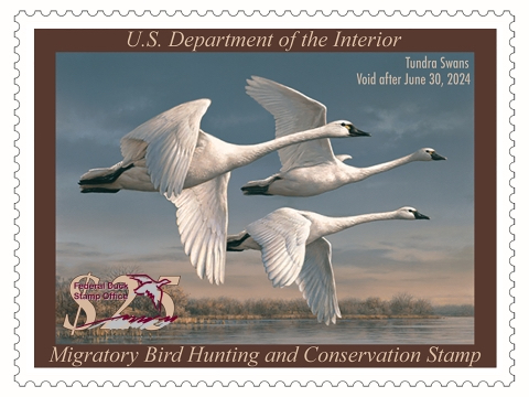 Fish, Wildlife Service debuts new federal and junior duck stamps ...