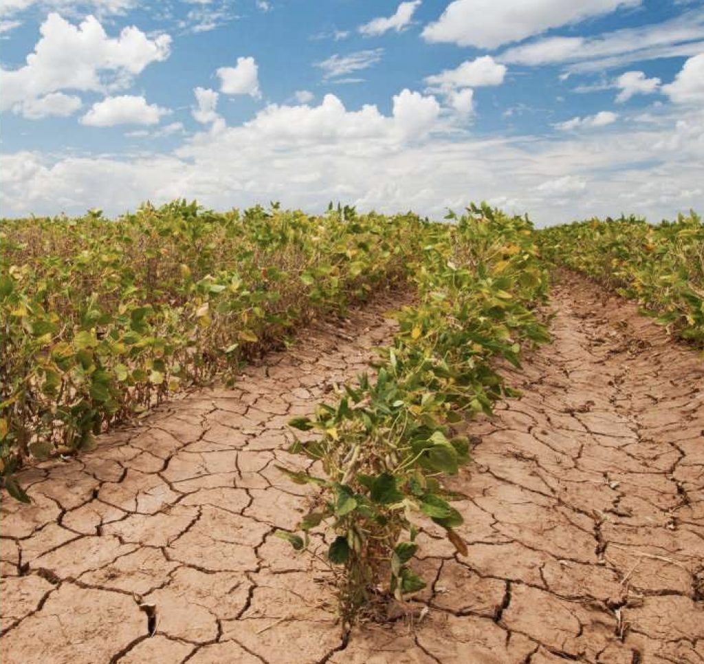 Drought expands despite historic rainfall - Sequoyah County Times
