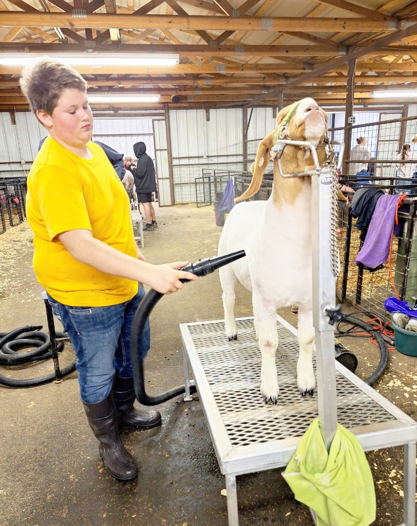 Goat grooming - Sequoyah County Times