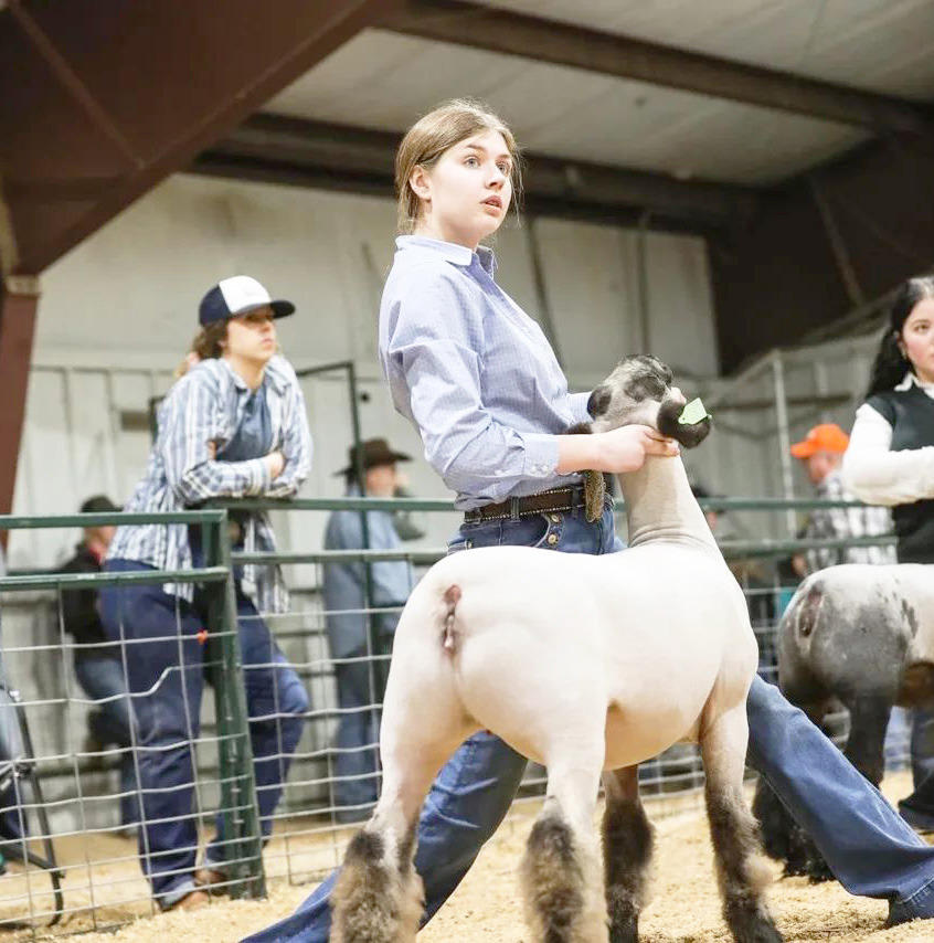 Support future young agriculturalists at this year’s Sequoyah County Jr ...