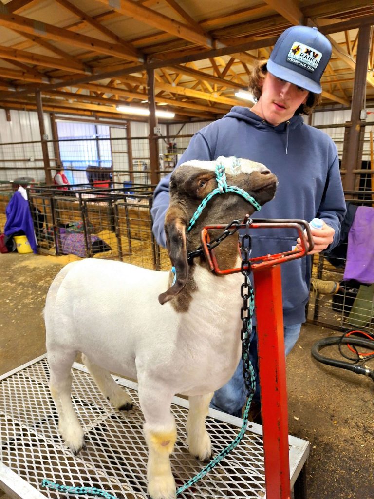 Goat grooming - Sequoyah County Times