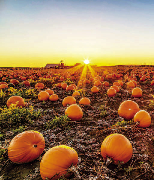 Think on these things - Sequoyah County Times