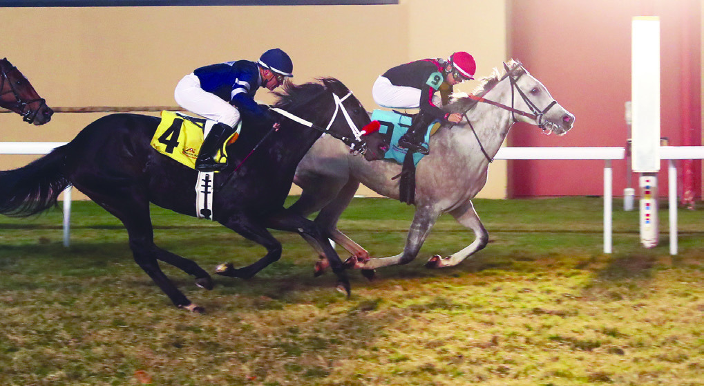 Jockey gets hat trick thanks to Artistic Vision’s 4th straight win ...