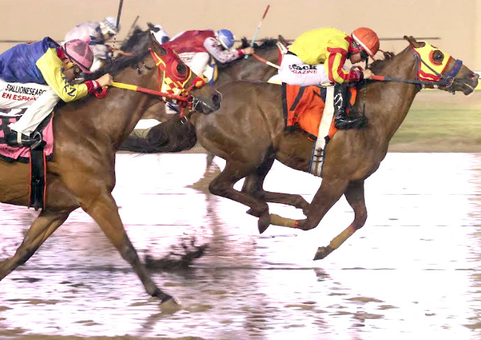 Sallisaw-owned horse wins Bob Moore Memorial Stakes at Remington Park - Sequoyah County Times